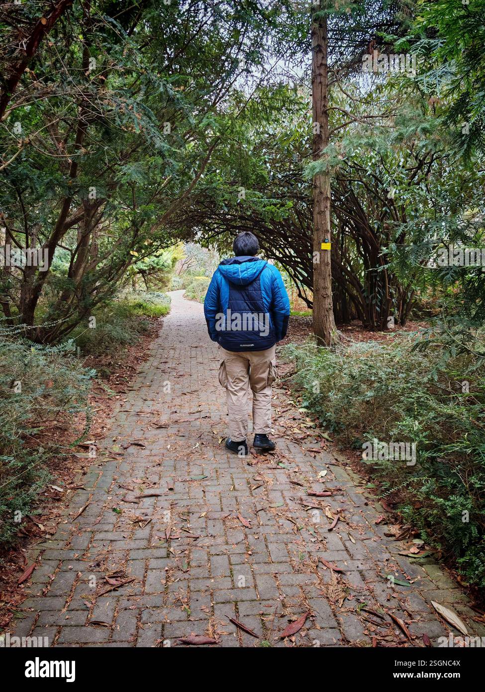 walking on a footpath or a bridle path, pedestrian traffic walking on ...