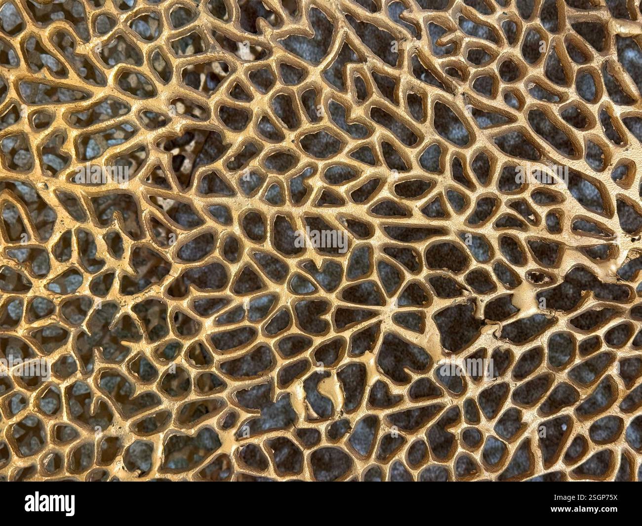 Texture veins resembling tree hi-res stock photography and images - Alamy