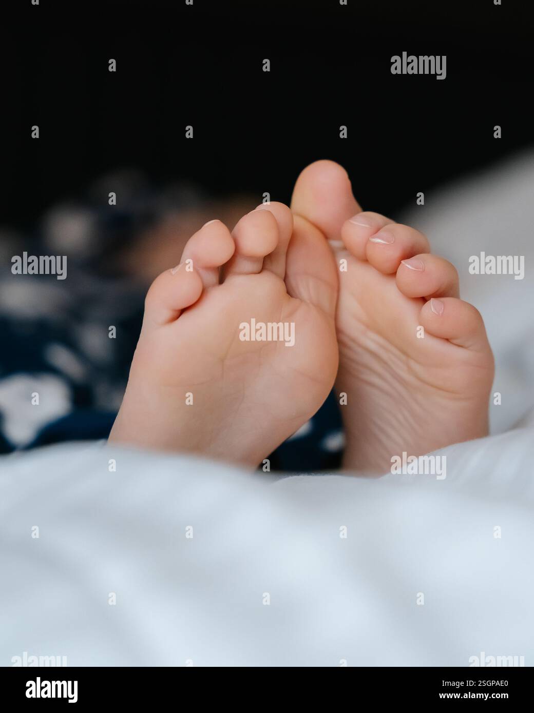 The feet of a small child in a parent's bed on white sheets rolled in a ...