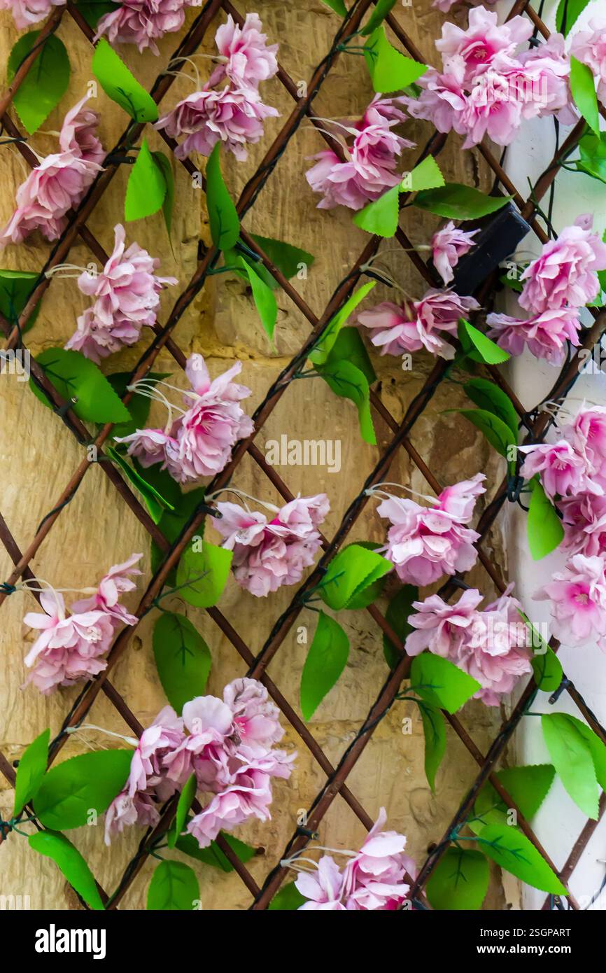 Pink Blossoms on Trellis with Green Leaves Enhancing Rustic Natural ...