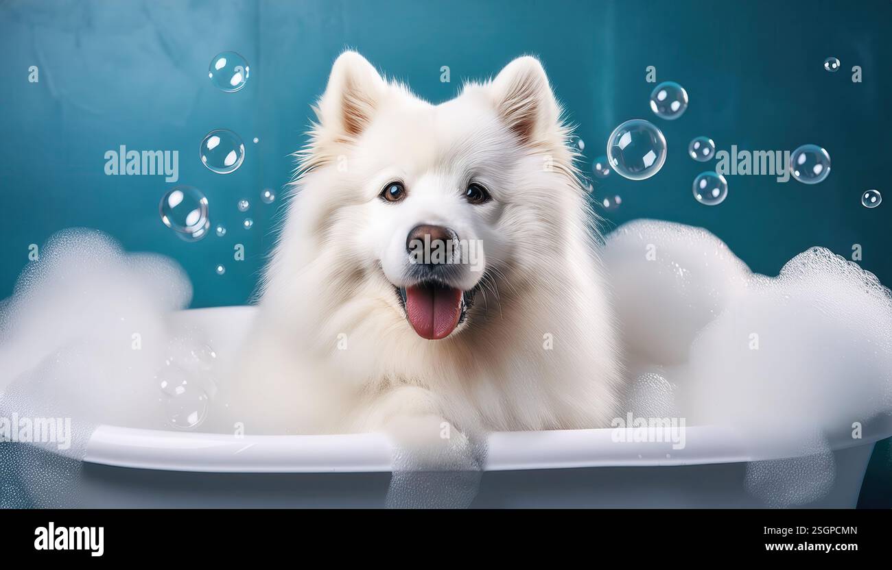 Fluffy white dog relaxing in a bubbly bath, surrounded by floating soap ...