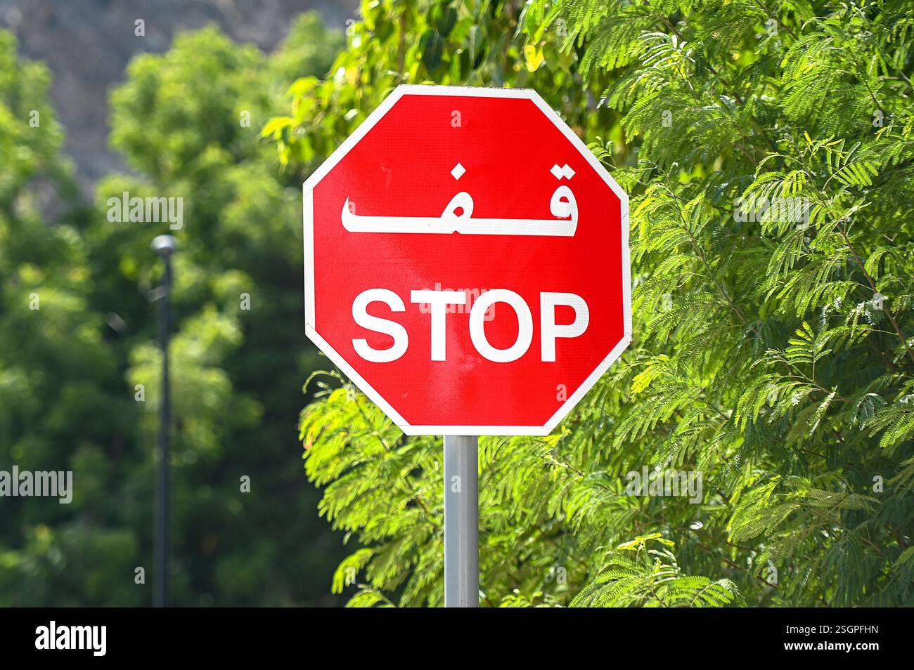 STOP - red road traffic signs in Middle East Stock Photo - Alamy