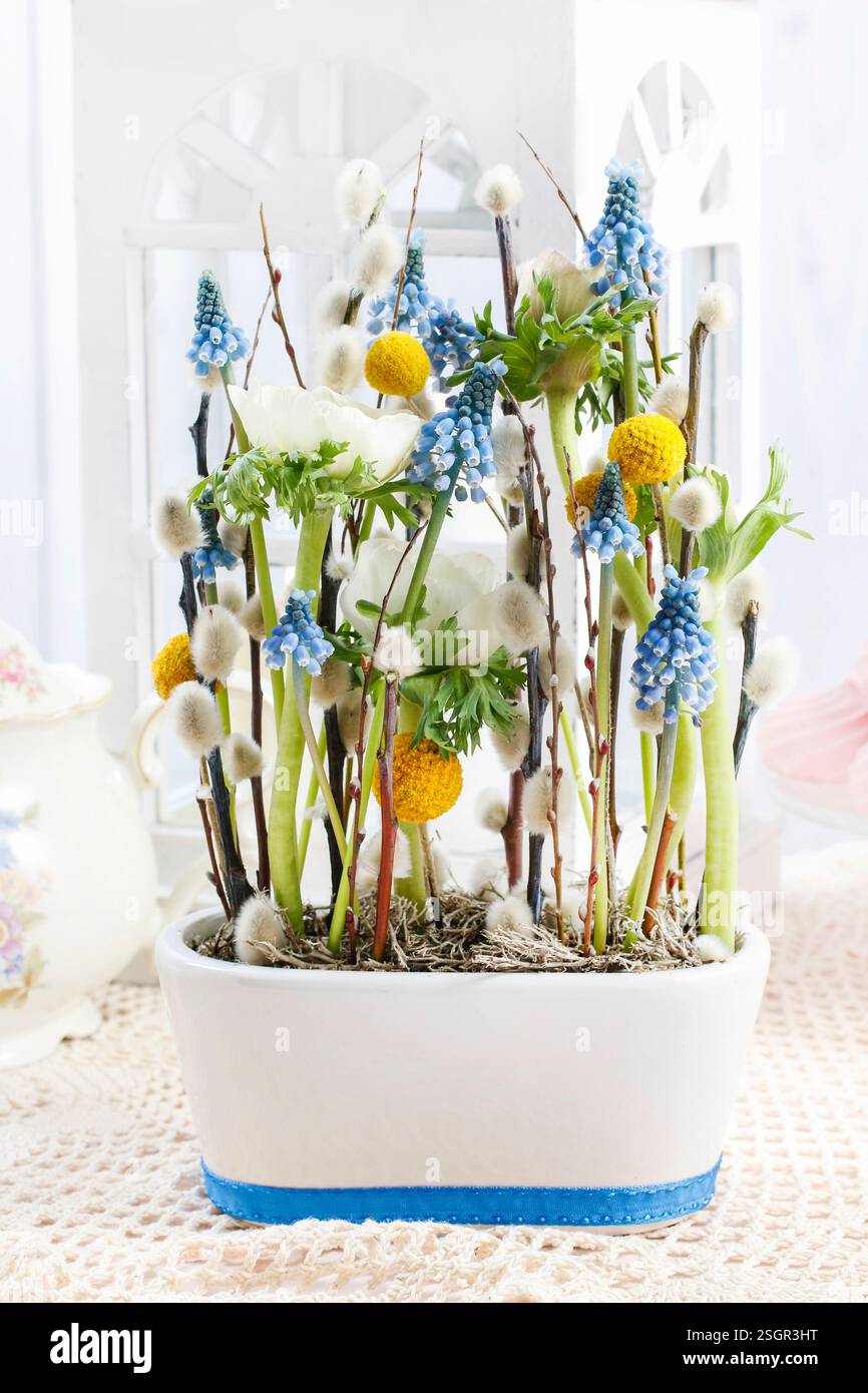 Floral arrangement with anemones and grape hyacinths (blue muscari ...