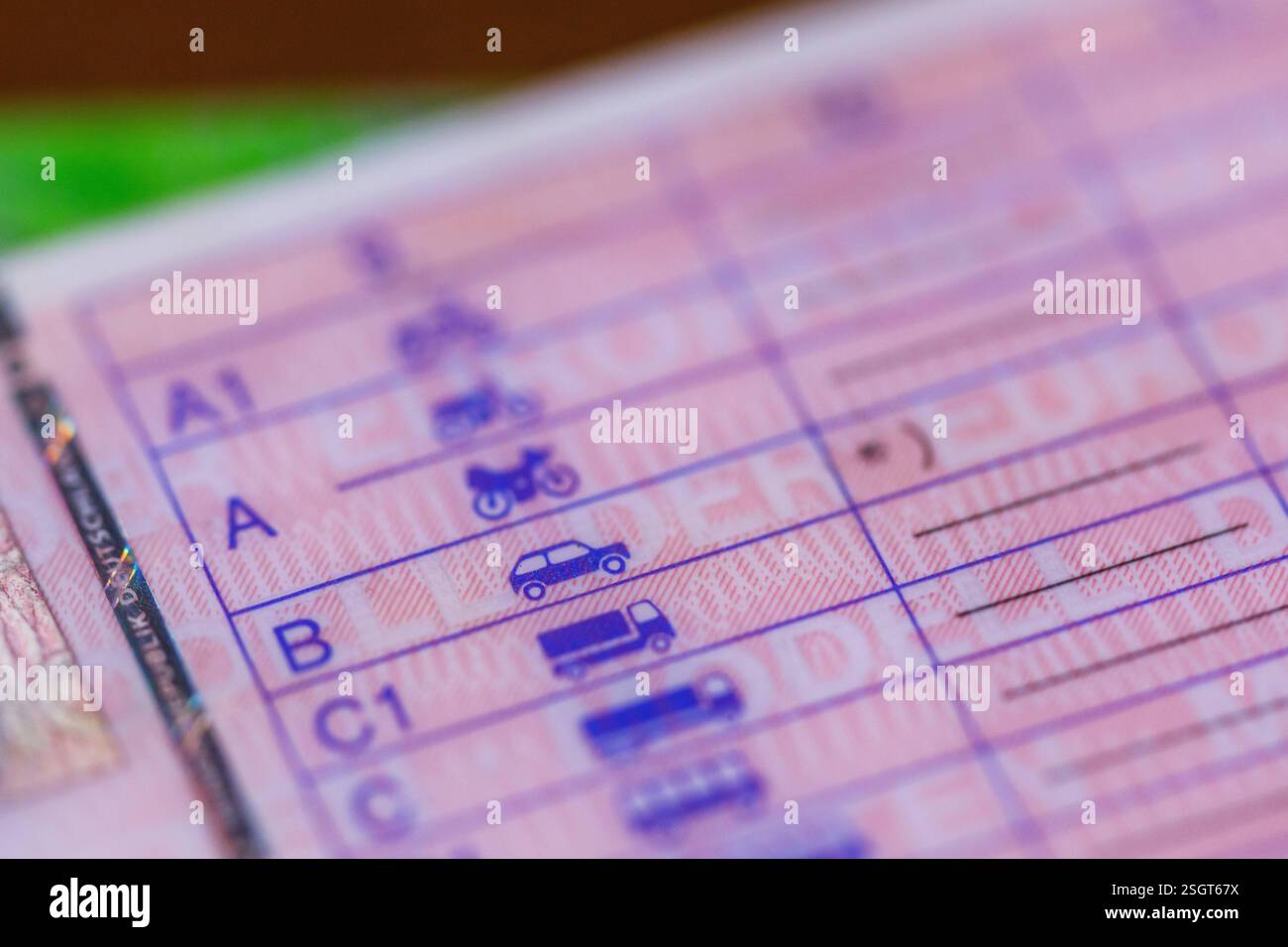 Symbolfoto Fuehrerschein DEU/Deutschland/Illustration, 10.02.2025 ...