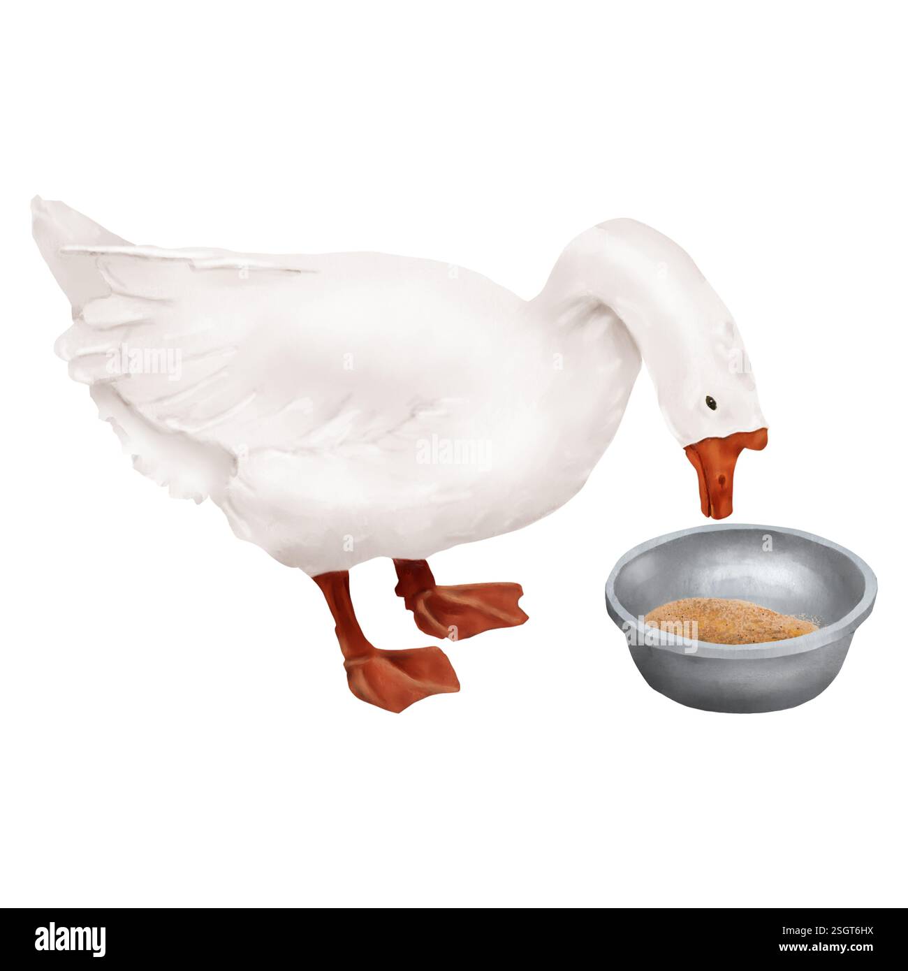 White domestic goose with red beak, and bowl with grain. Watercolor ...