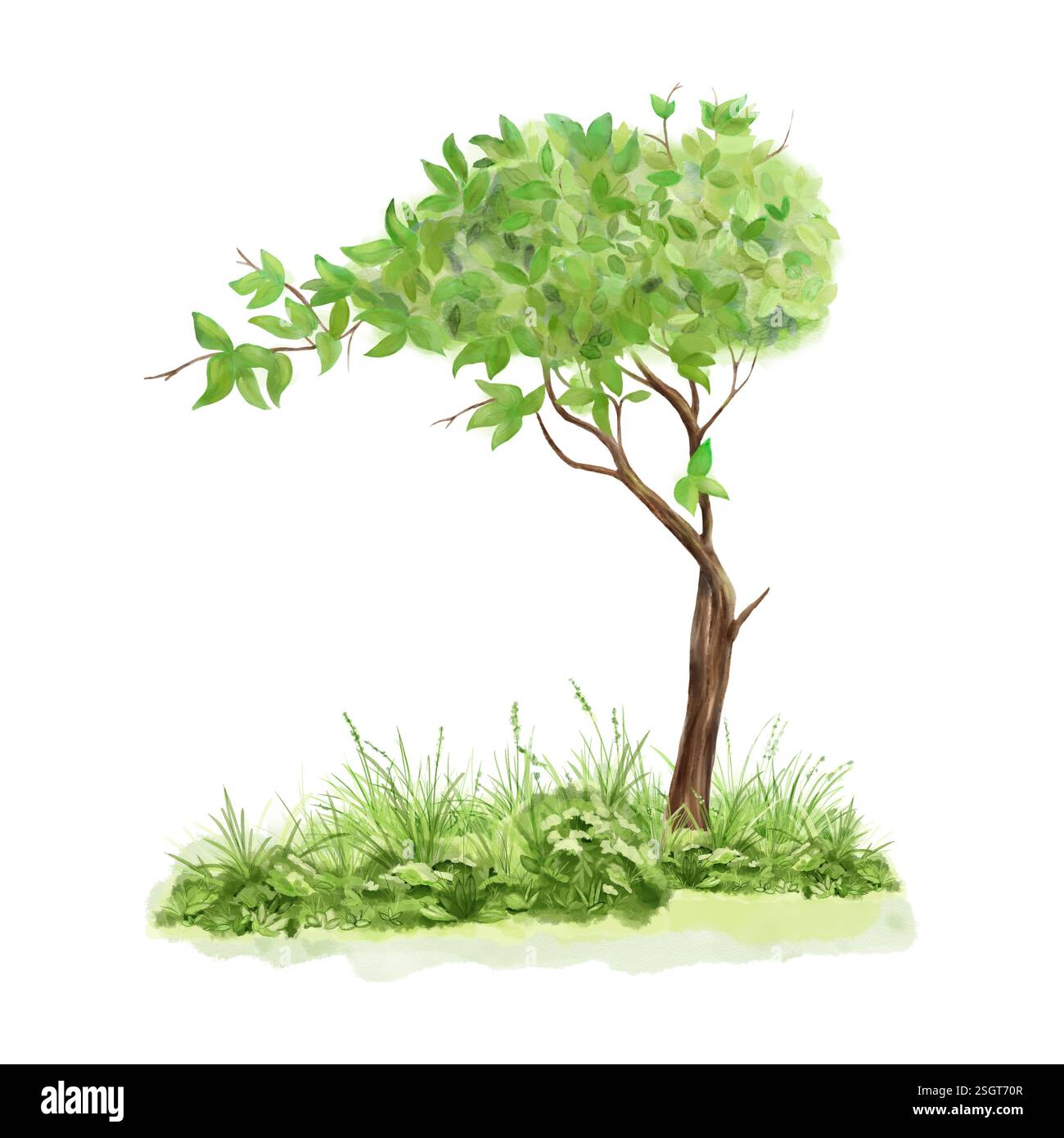 Backyard spring flowers Cut Out Stock Images & Pictures - Alamy