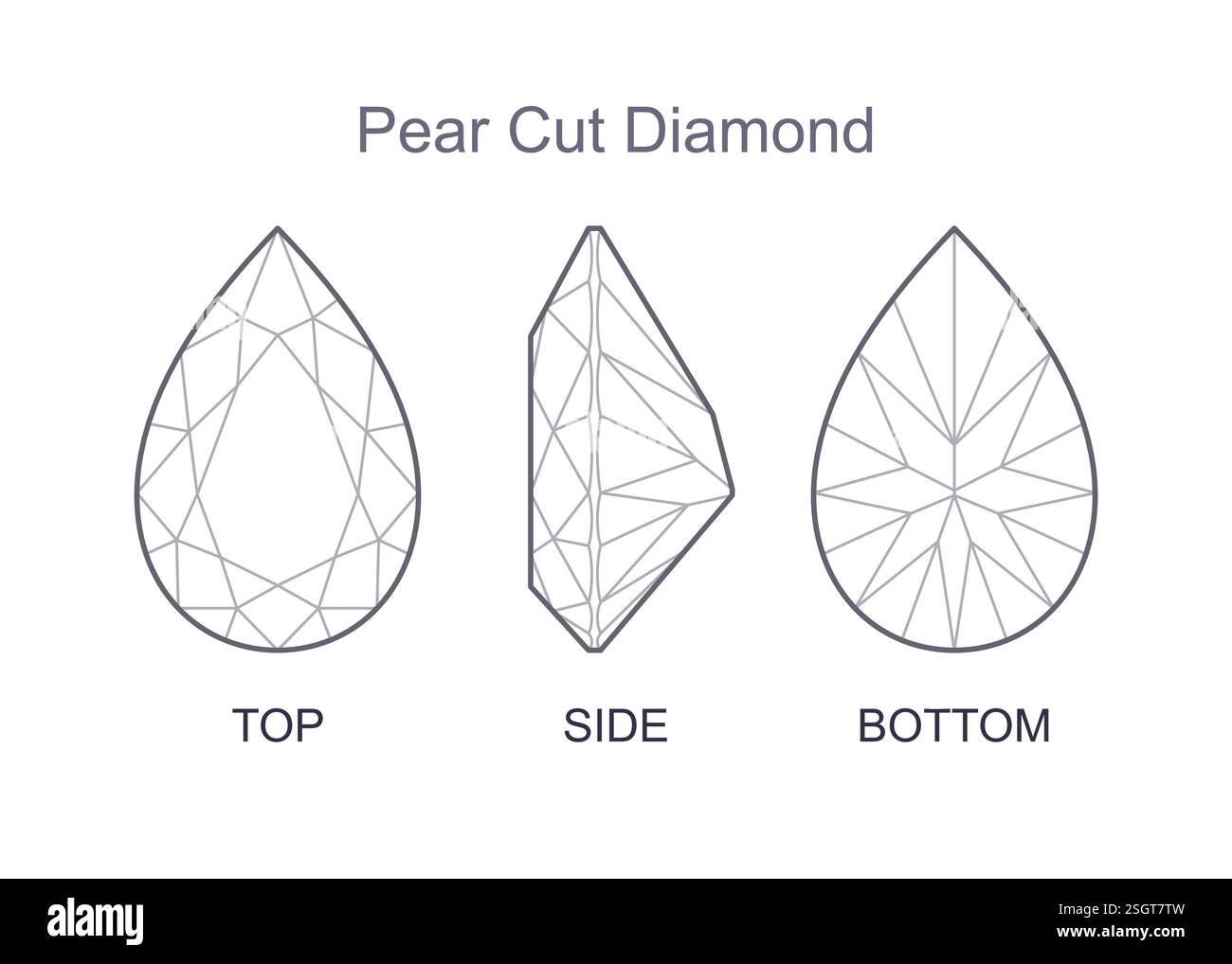 Pear cut precious gem top, side and bottom views Stock Vector Image ...