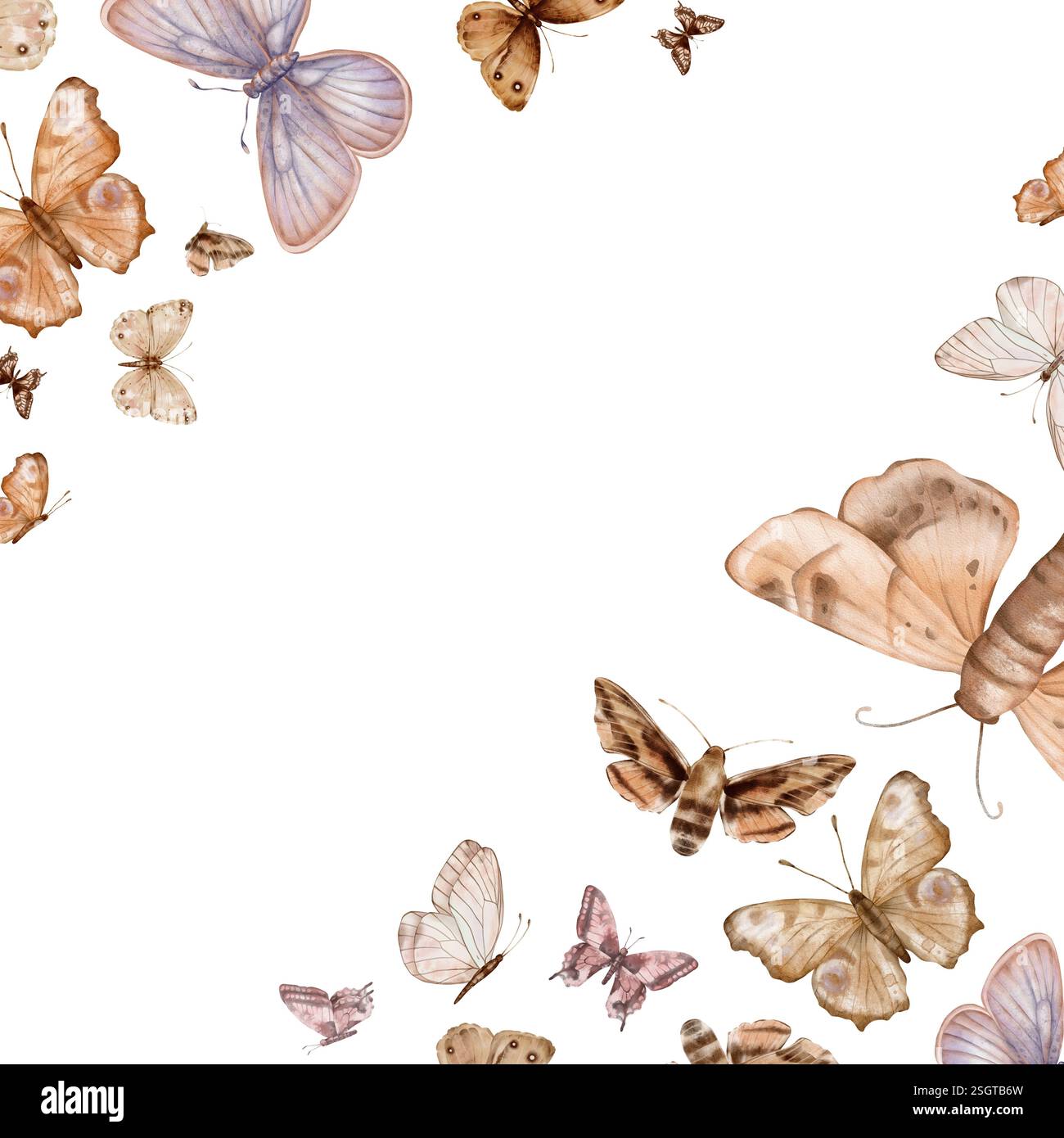 Butterflies are beige and brown flying and moth in vintage style. Hand ...