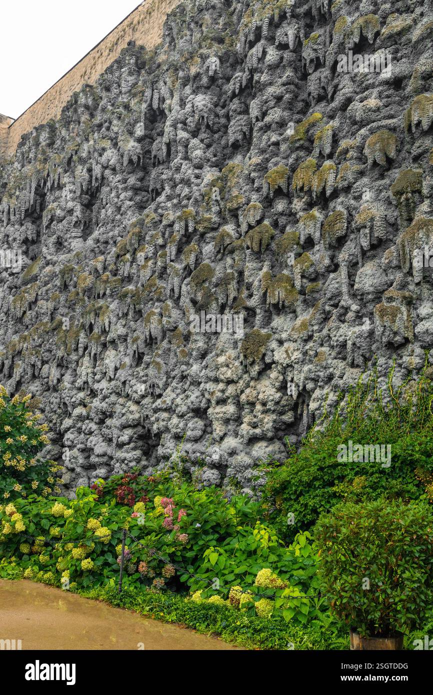 Fresh plant with wall garden decorative.Old brick wall with green ivy ...