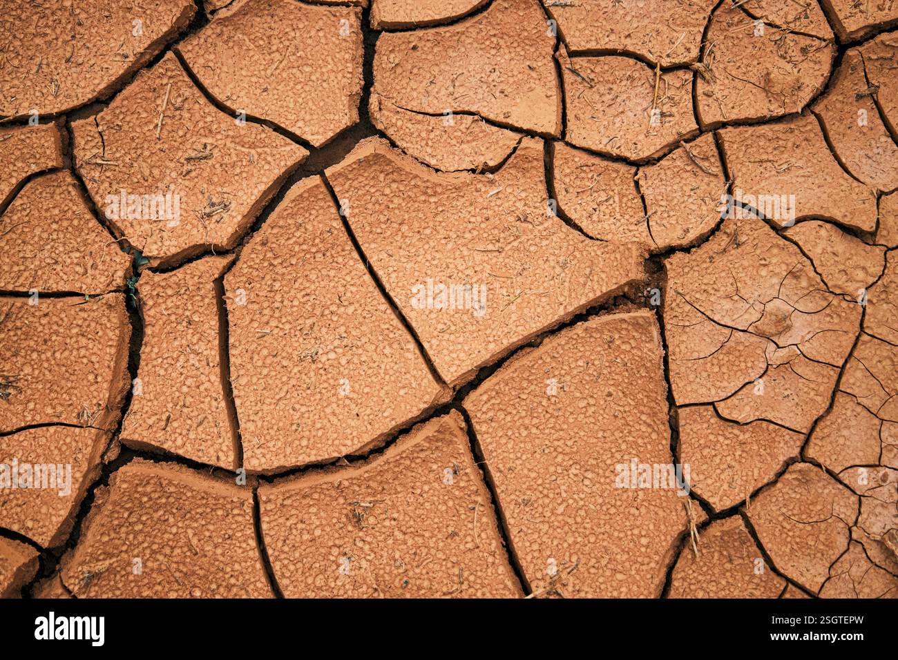 Cracked earth in desert. Takir, takyr soils. Landform, drying out ...