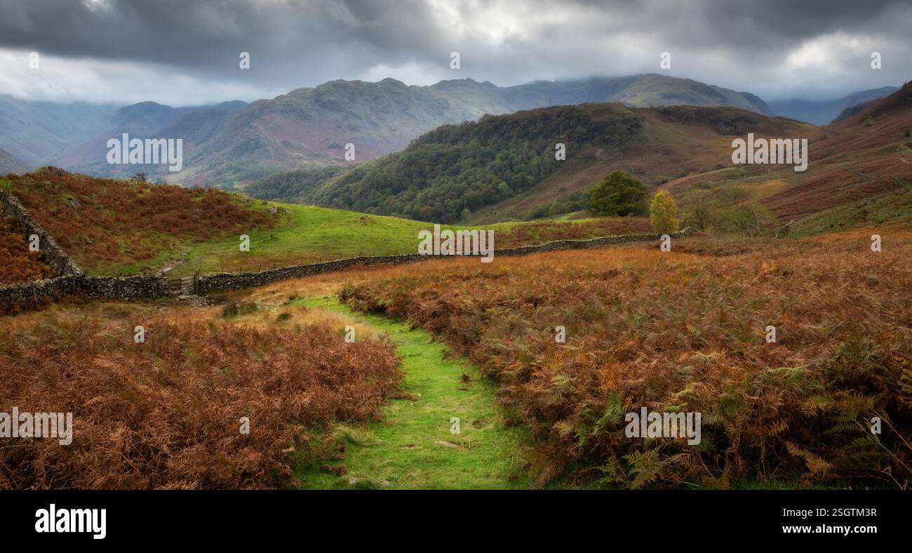 A grassy pathway leads the way down into the Borrowdale valley, Lake ...