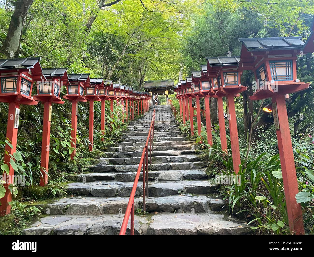 Go in up the stairs surrounded by red lanterns of the Kifune Shrine ...