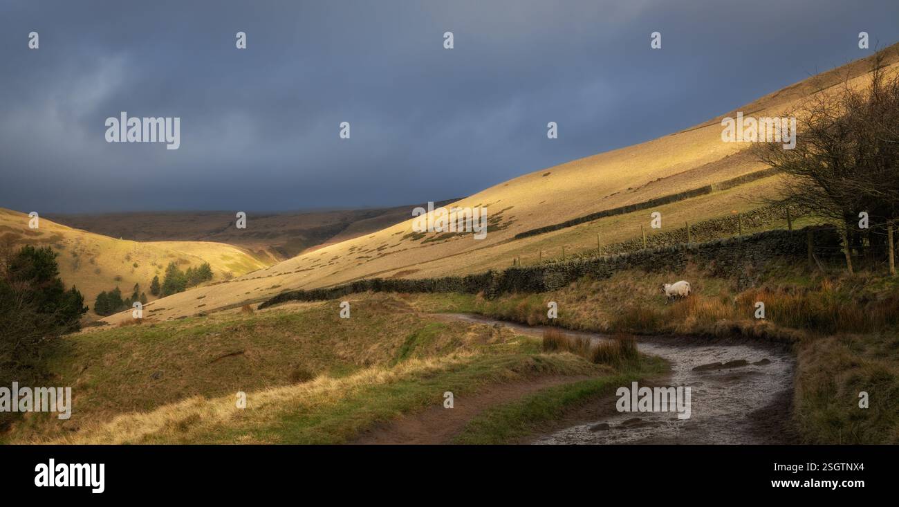 The Pennine way on route to Jacobs Ladder. Peak District National Park ...