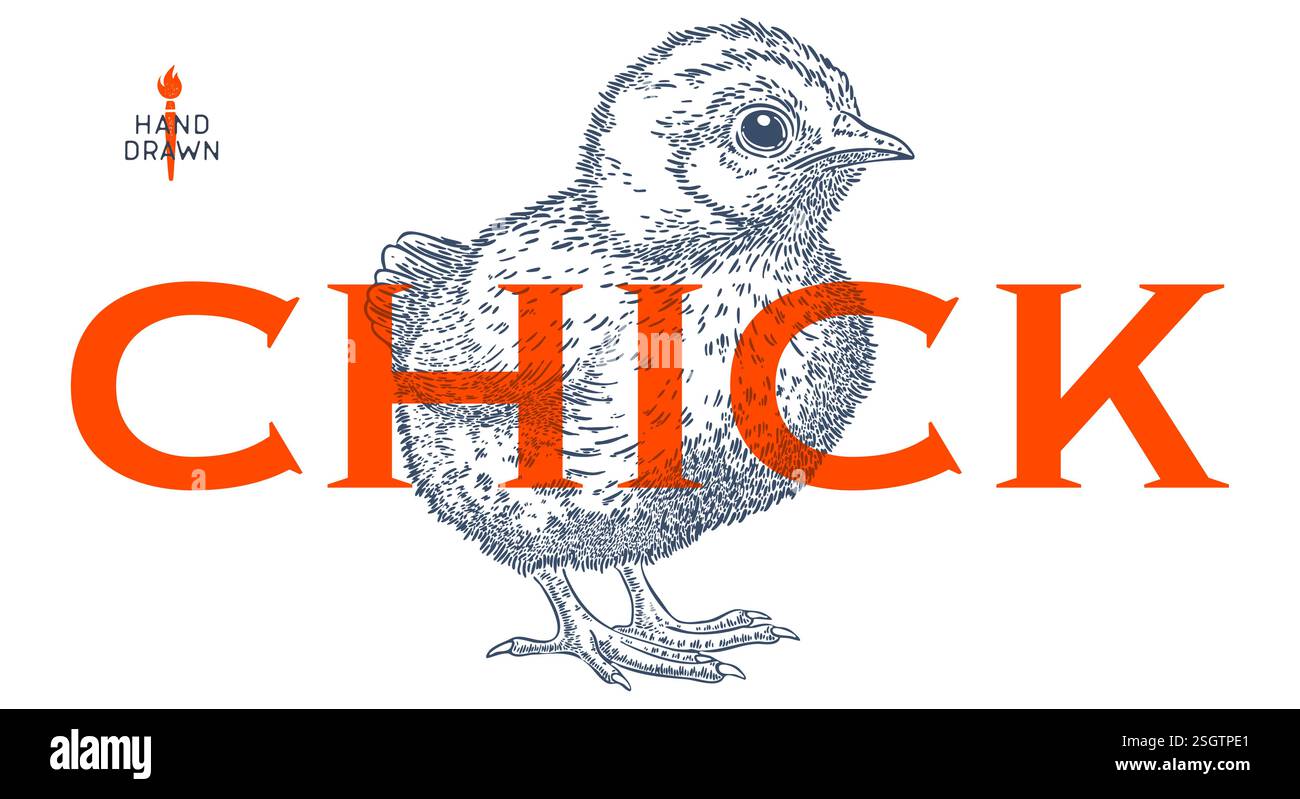 Vintage easter baby chick Stock Vector Images - Alamy