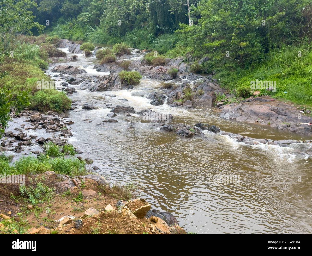 Water flowing along the scenic Muthirapuzha River near Munnar, Idukki ...