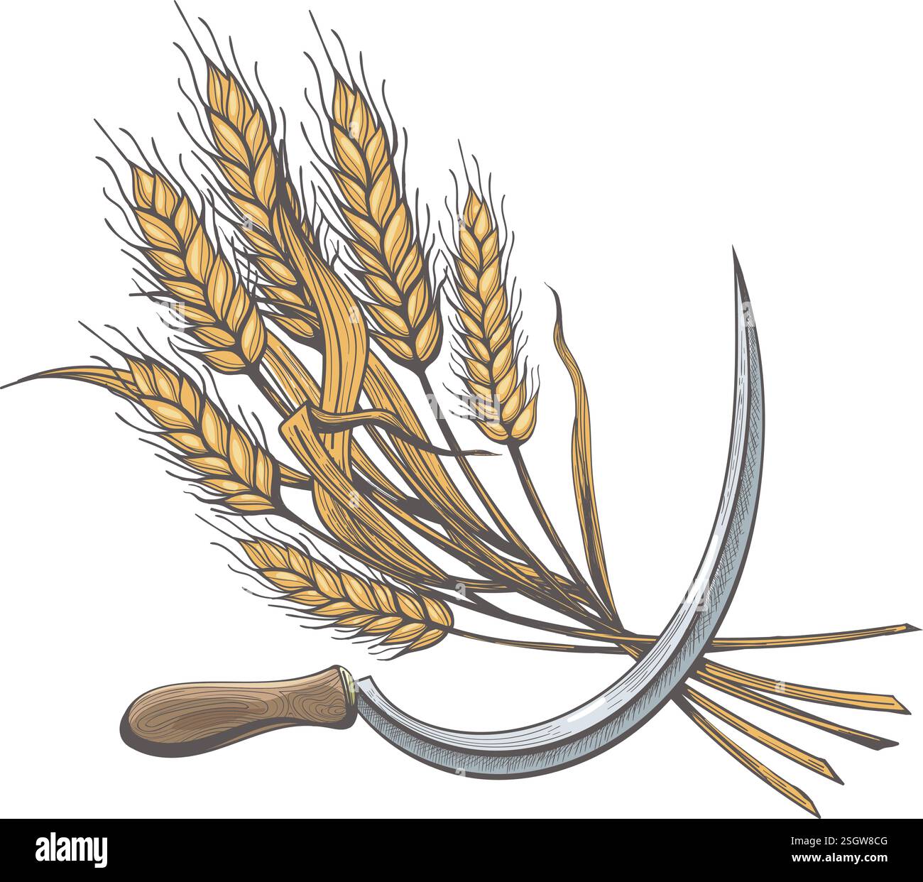 Bunch of wheat ears and sickle Stock Vector Image & Art - Alamy