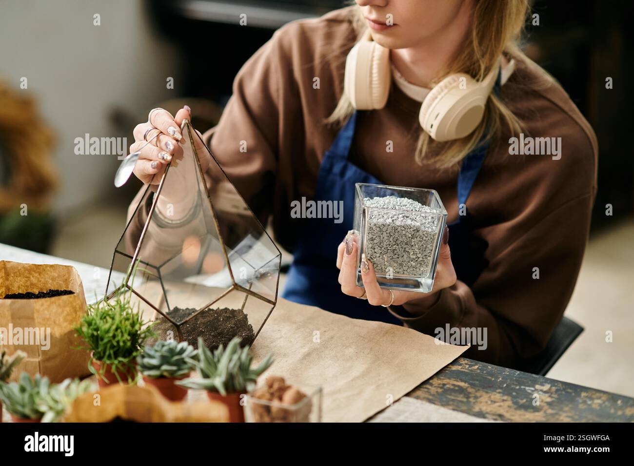 Hands are busy assembling a beautiful terrarium with vibrant succulents ...