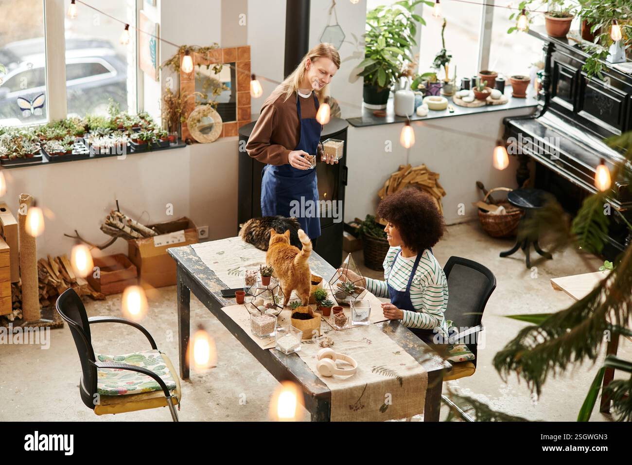 Participants happily create succulent arrangements, bonding over their ...