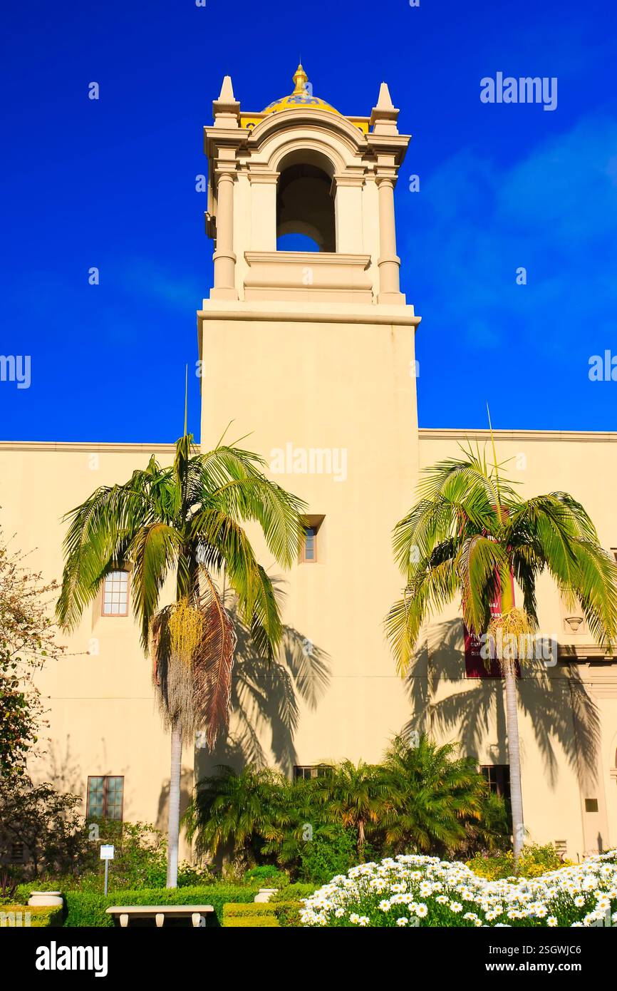 Tall building with a bell tower and palm trees in front of it. The ...