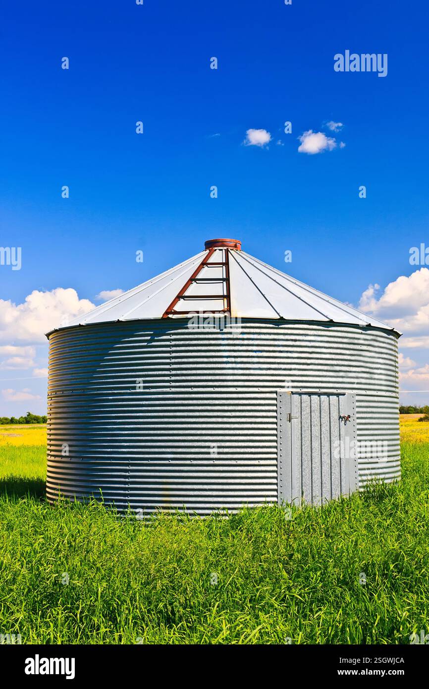 Large metal silo is sitting in a field of grass. The silo is empty and ...