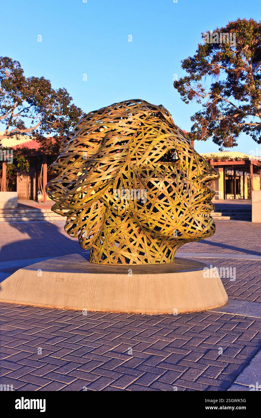 Sculpture of a face made of metal and wire. The sculpture is placed on ...