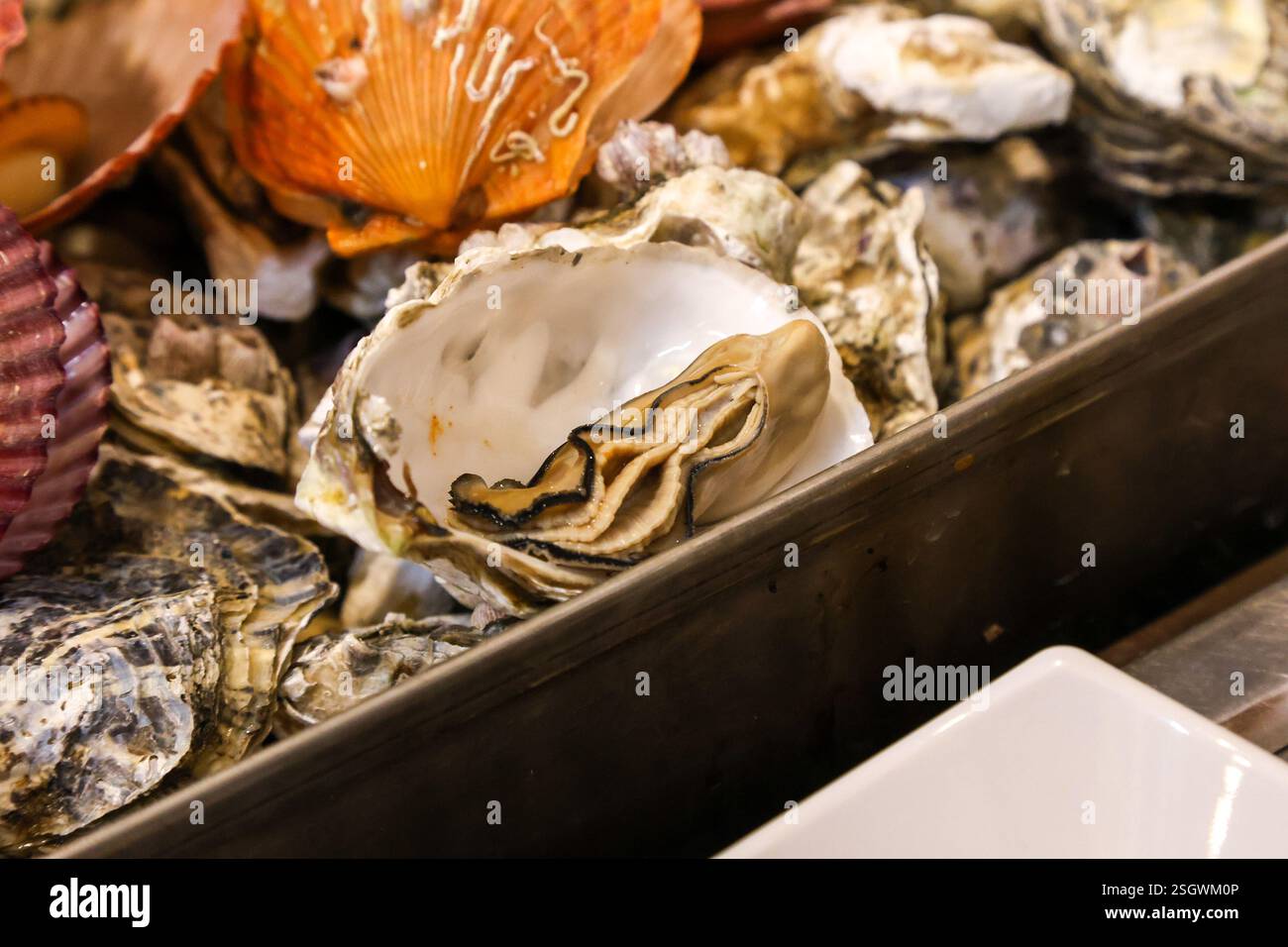 Korean seafood food. Steamed oysters and scallops Stock Photo - Alamy