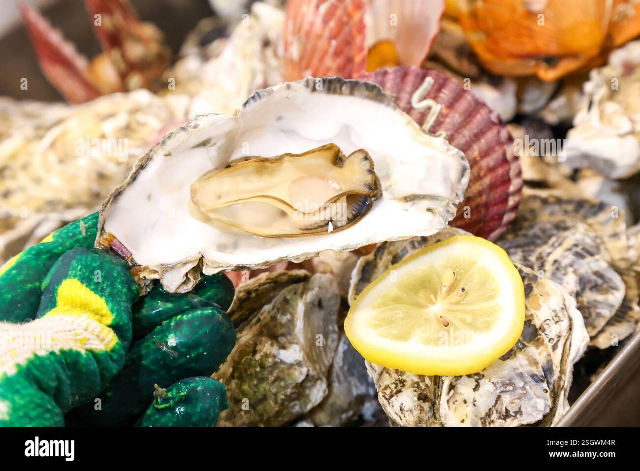 Korean seafood food. Steamed oysters and scallops Stock Photo - Alamy