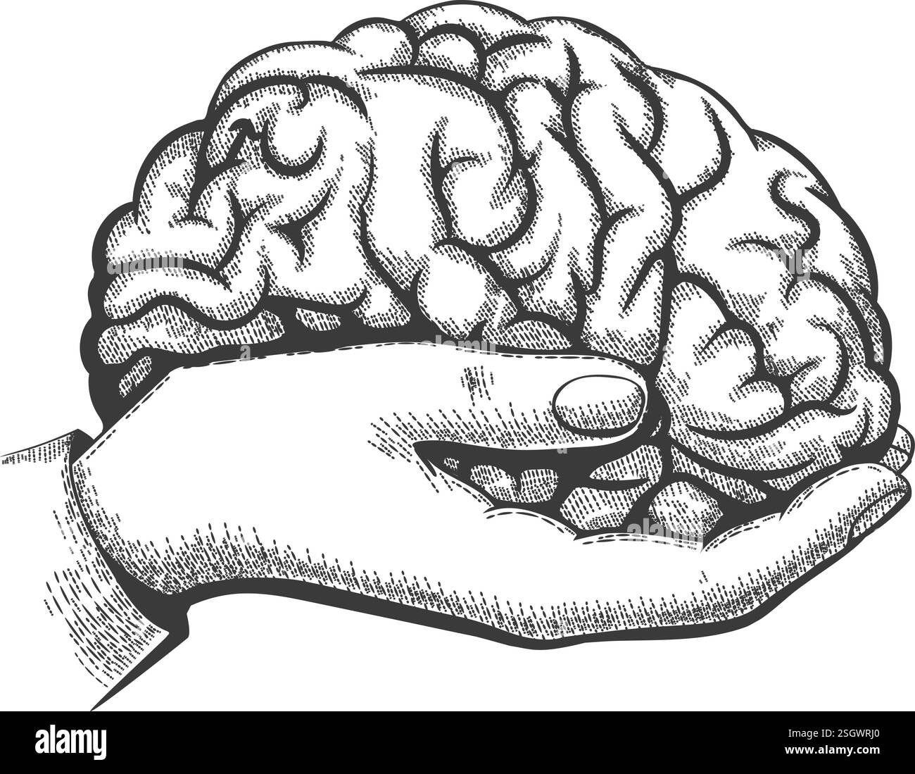 Engraving hand holding human brain Stock Vector Image & Art - Alamy