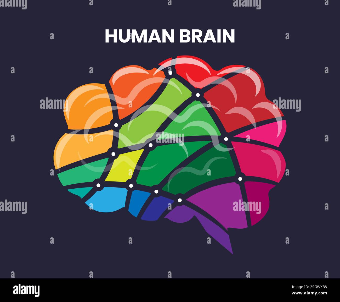 Abstract colorful human brain logo Stock Vector Image & Art - Alamy