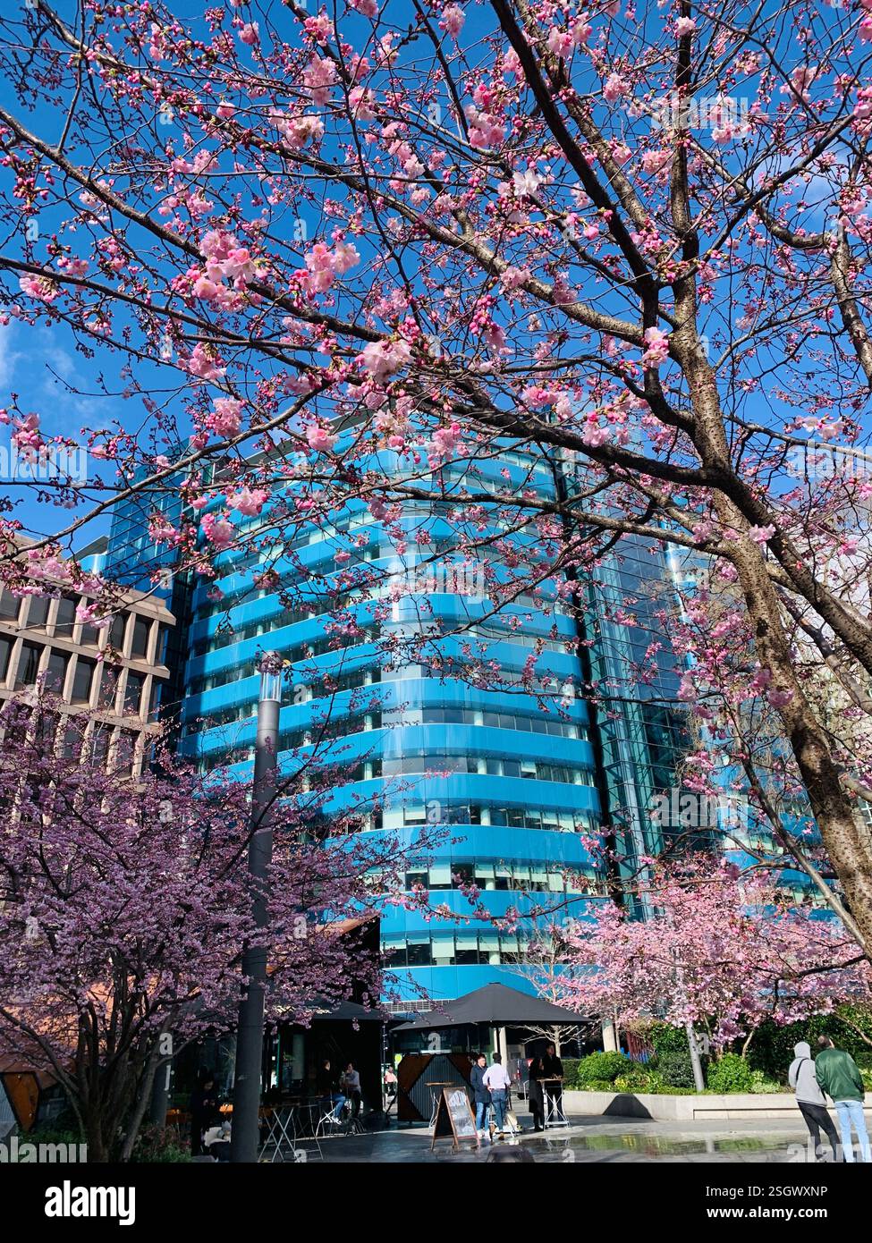 Teal shiny building with spring blooms Stock Photo - Alamy