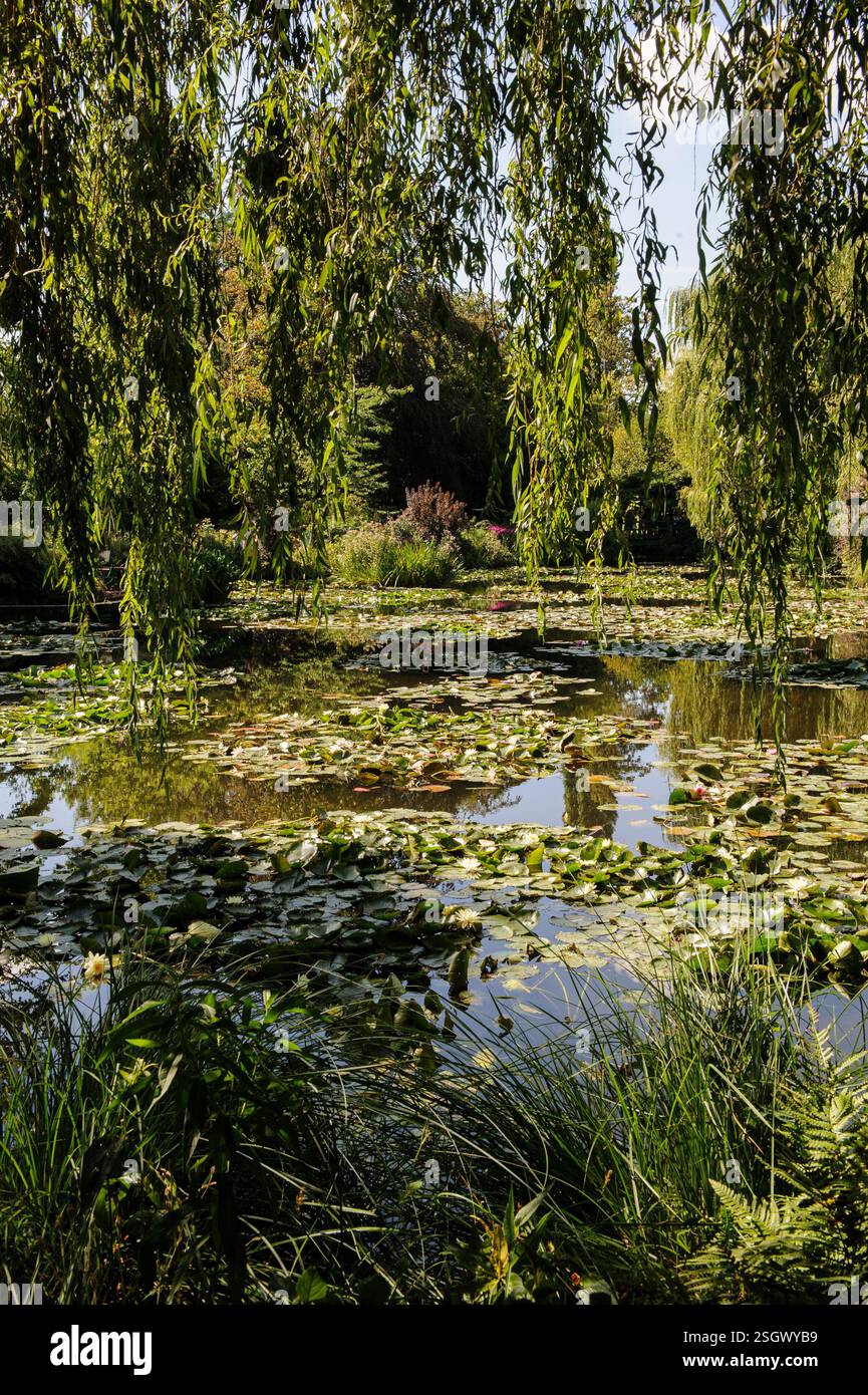 Iconic pond and water lily plants at the Giverny, France, home of the ...
