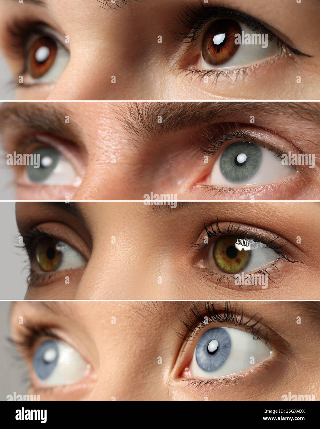 People with eyes of different colors, collage of photos Stock Photo - Alamy