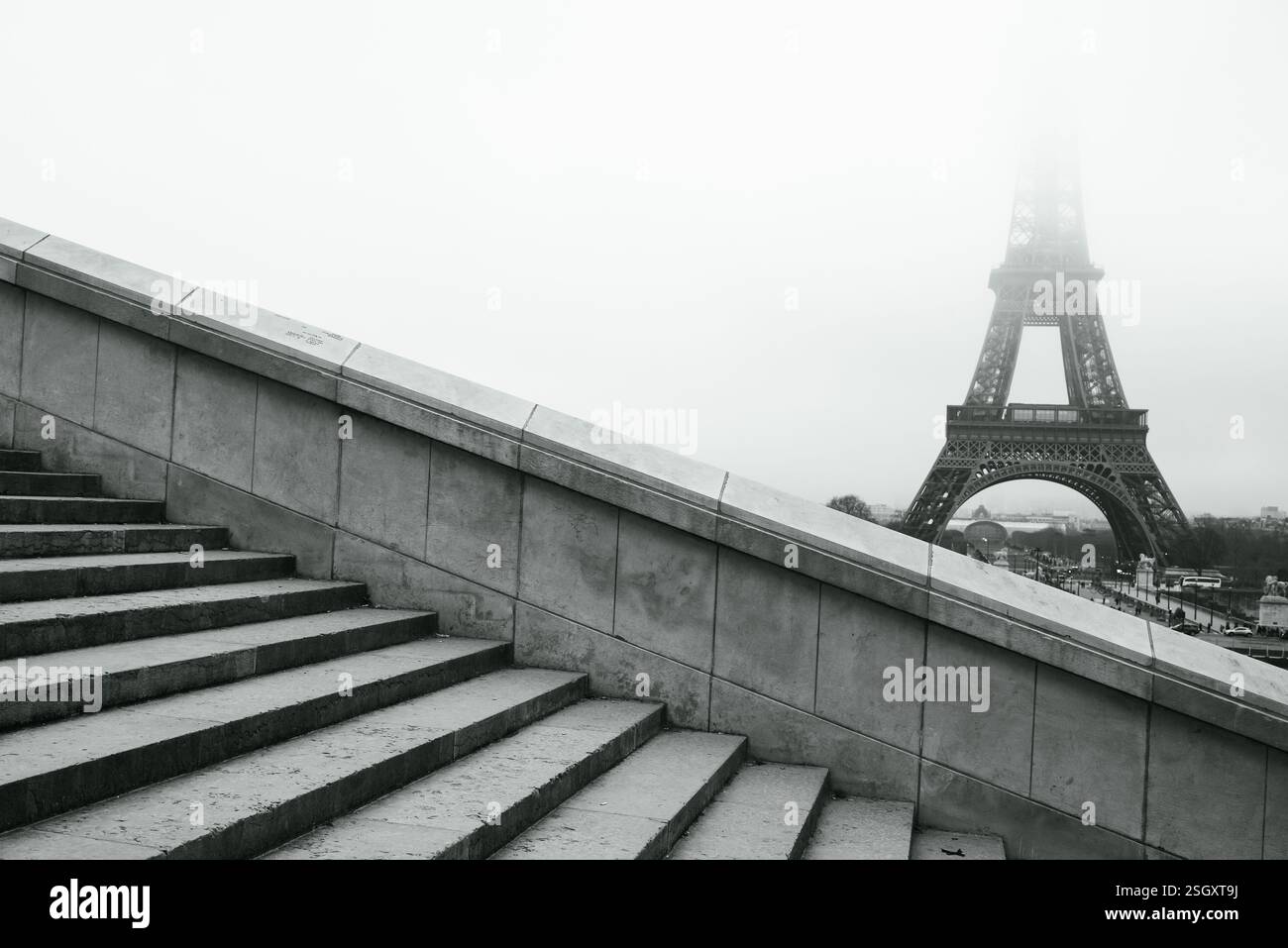Black and white photo of the Eiffel Tower taken from the steps of ...