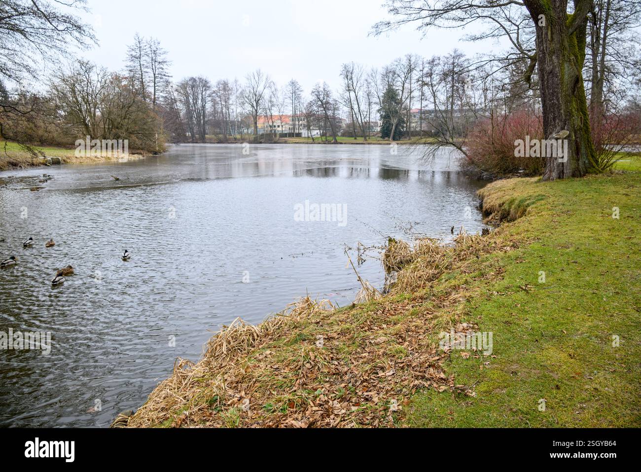 Telc castle park in the historic old town of Telc, Unesco World ...