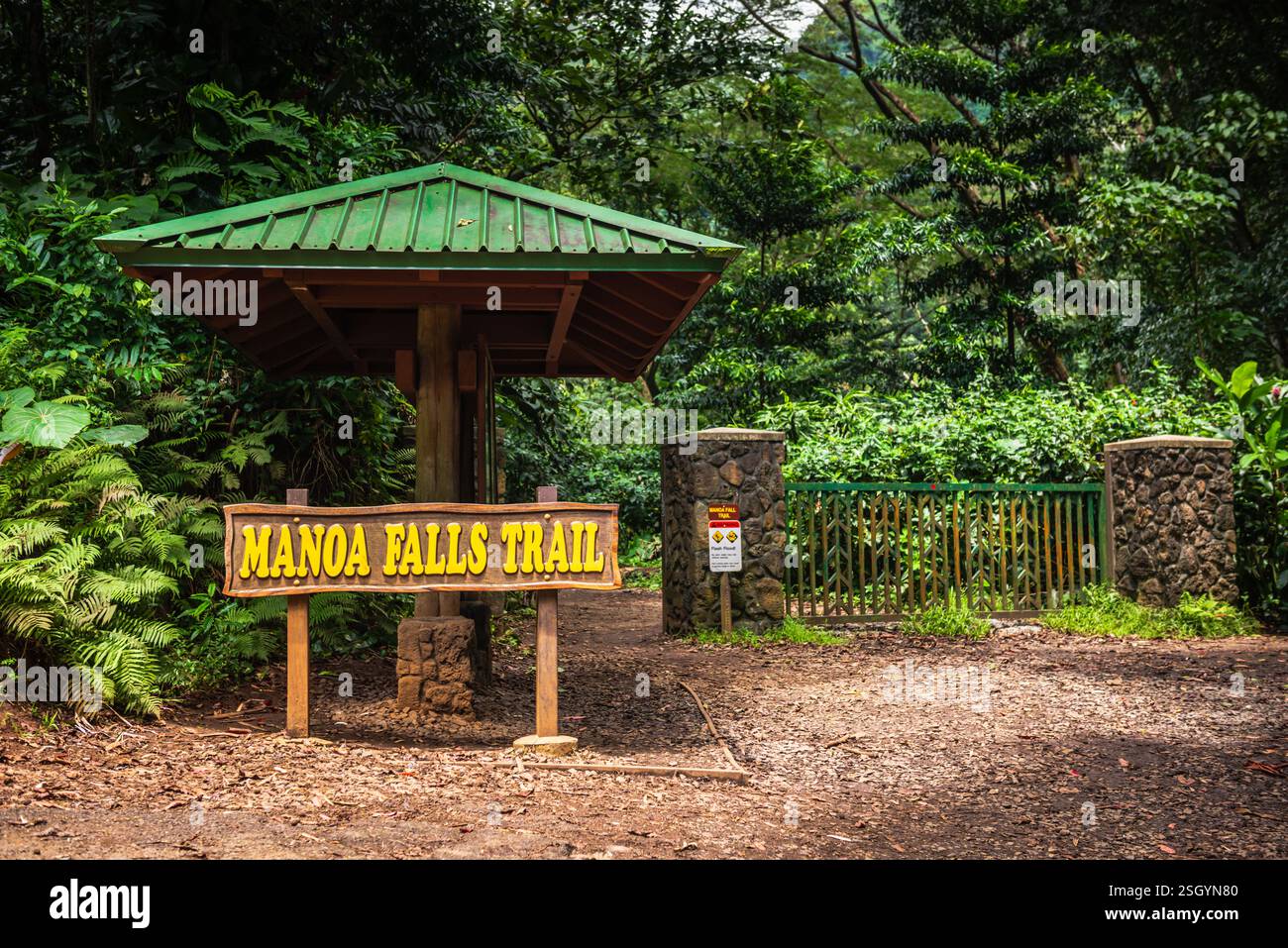 Oahu's manoa falls trail hi-res stock photography and images - Alamy