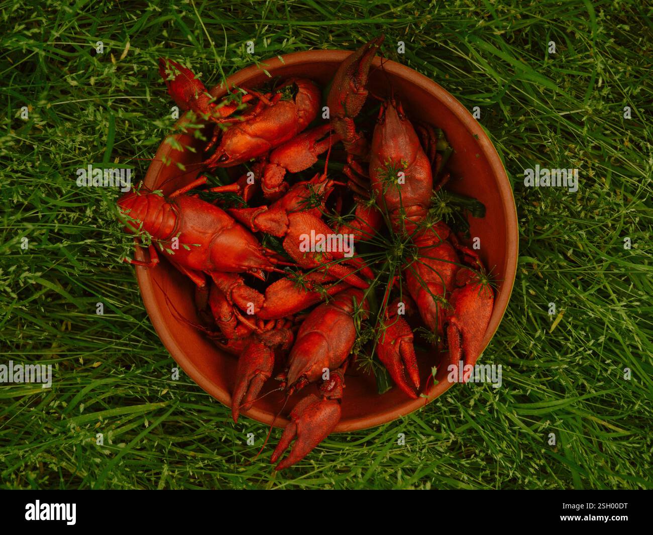 Bright red crawfish fresh hi-res stock photography and images - Alamy