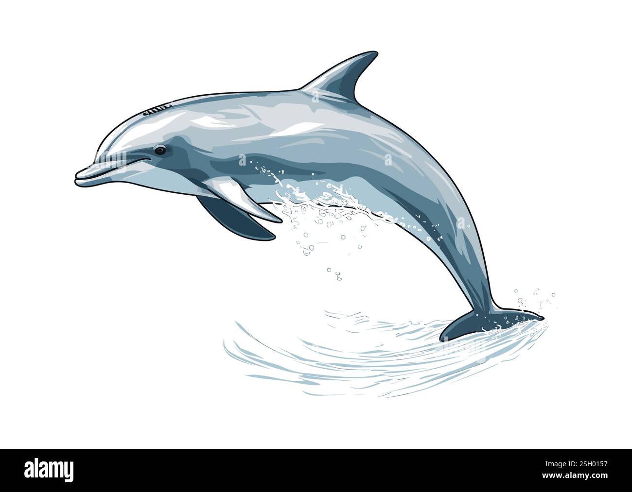 Hand drawn dolphin outline vector Stock Vector Image & Art - Alamy