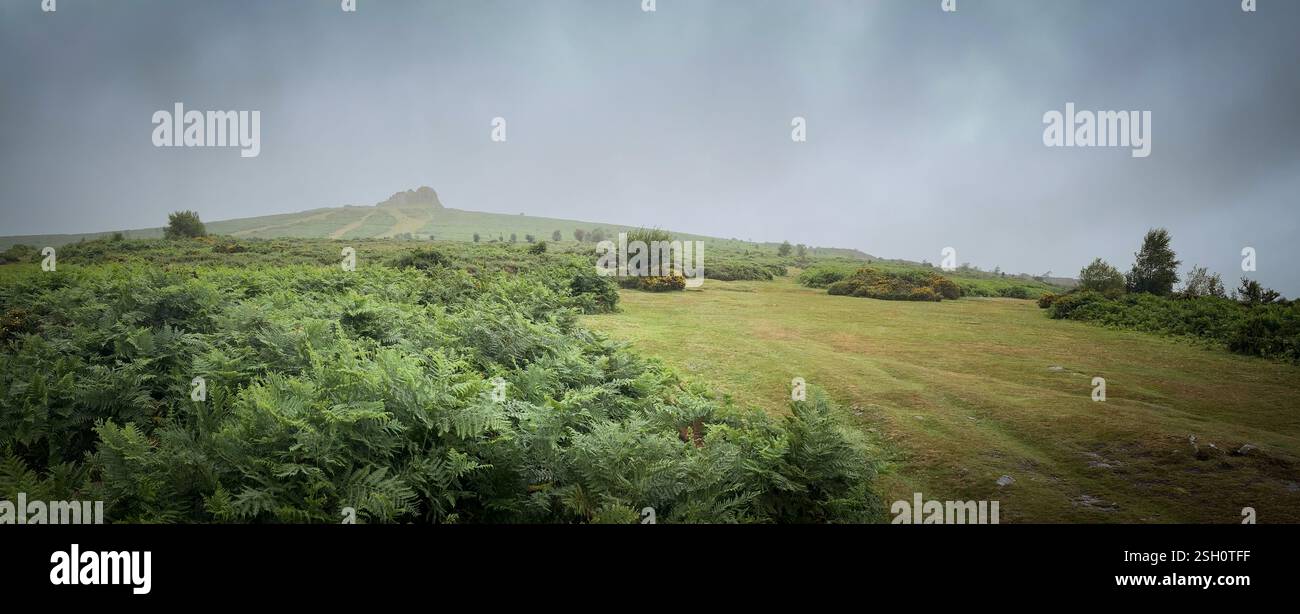 Haytor Rocks on a foggy and rainy day in Darmoor national park, Devon ...