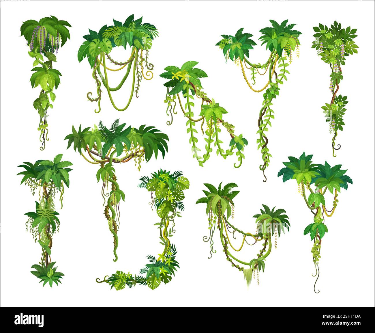 Tropical jungle rainforest vertical liana branch and leaves of ivy ...