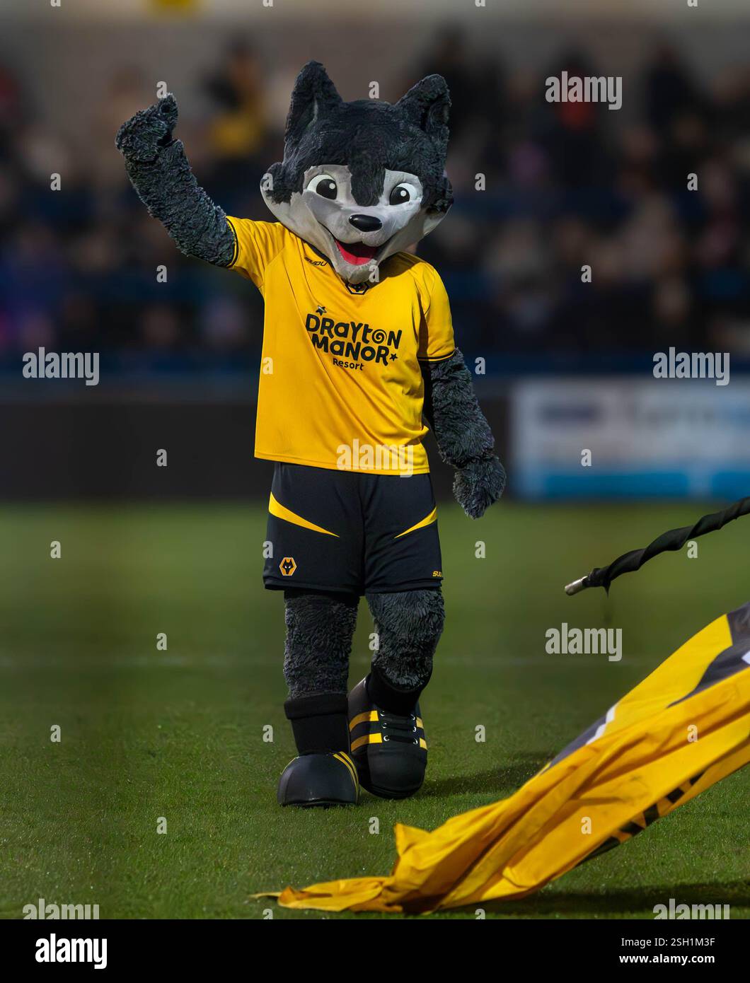 Adobe w fa cup hi-res stock photography and images - Alamy