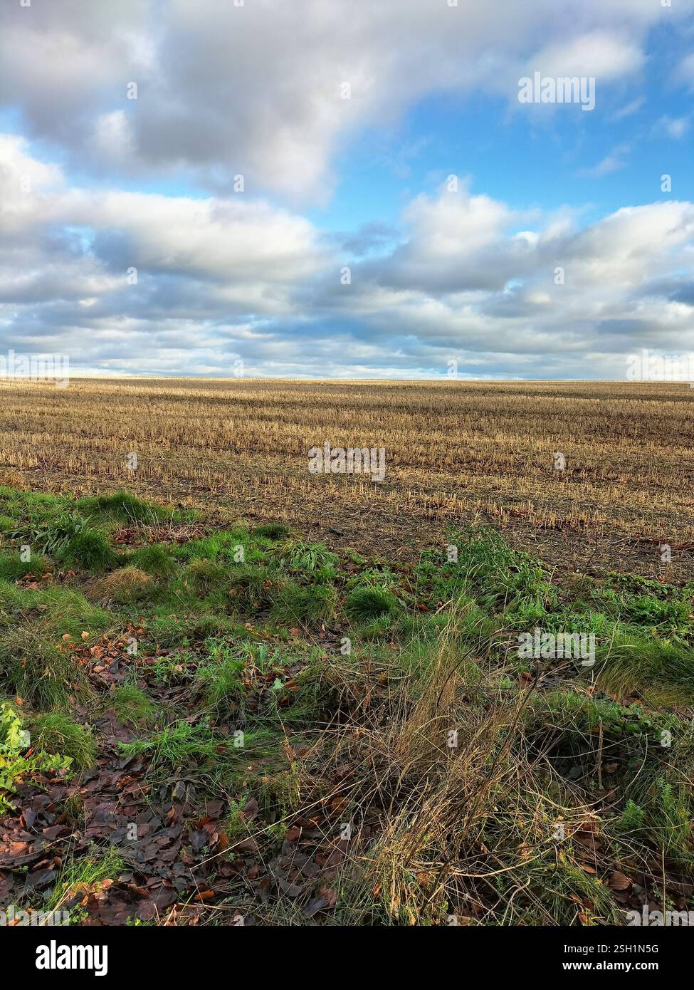 The images depict a rural landscape with a mix of grassy and harvested ...