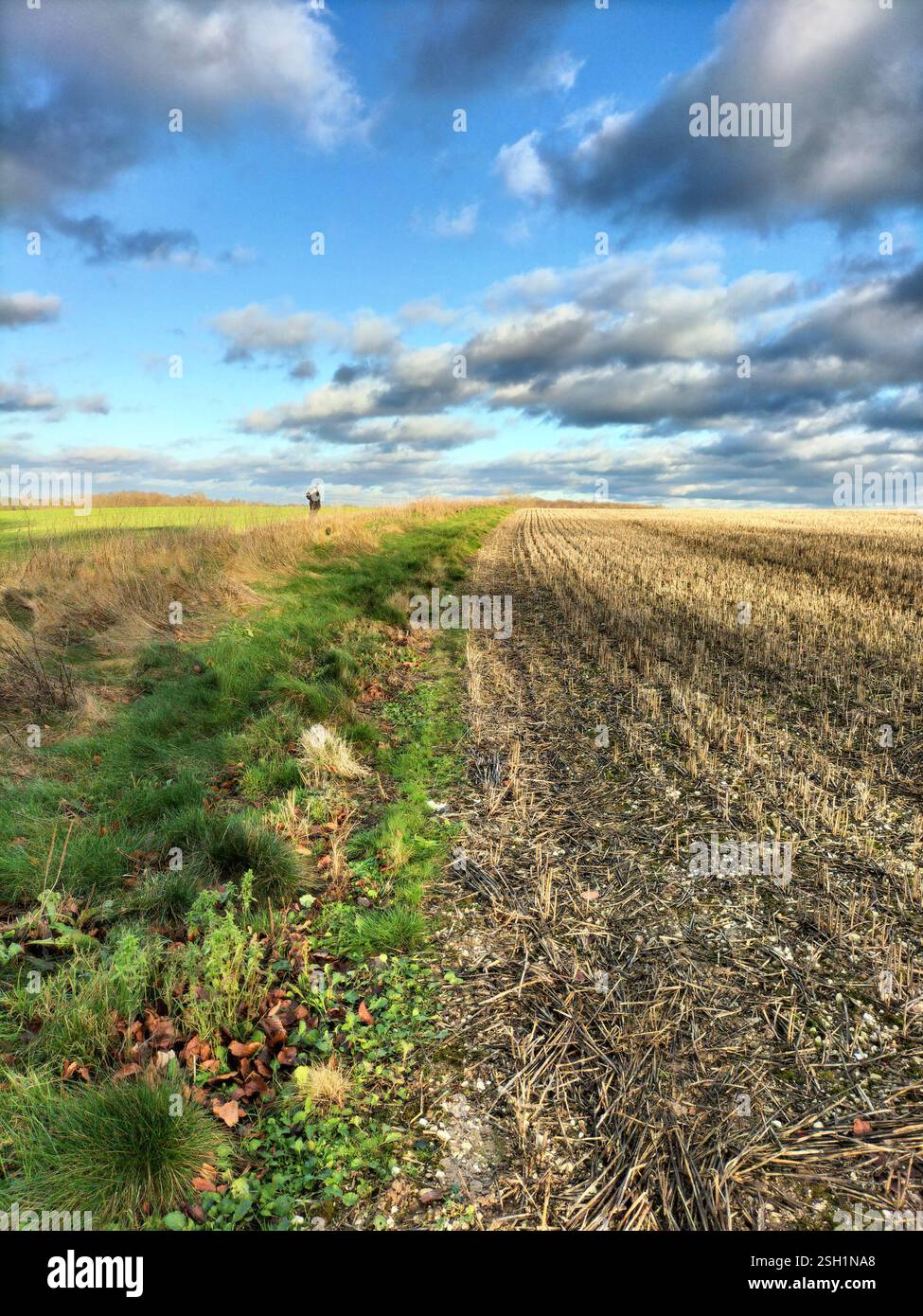 Grass depict hi-res stock photography and images - Alamy
