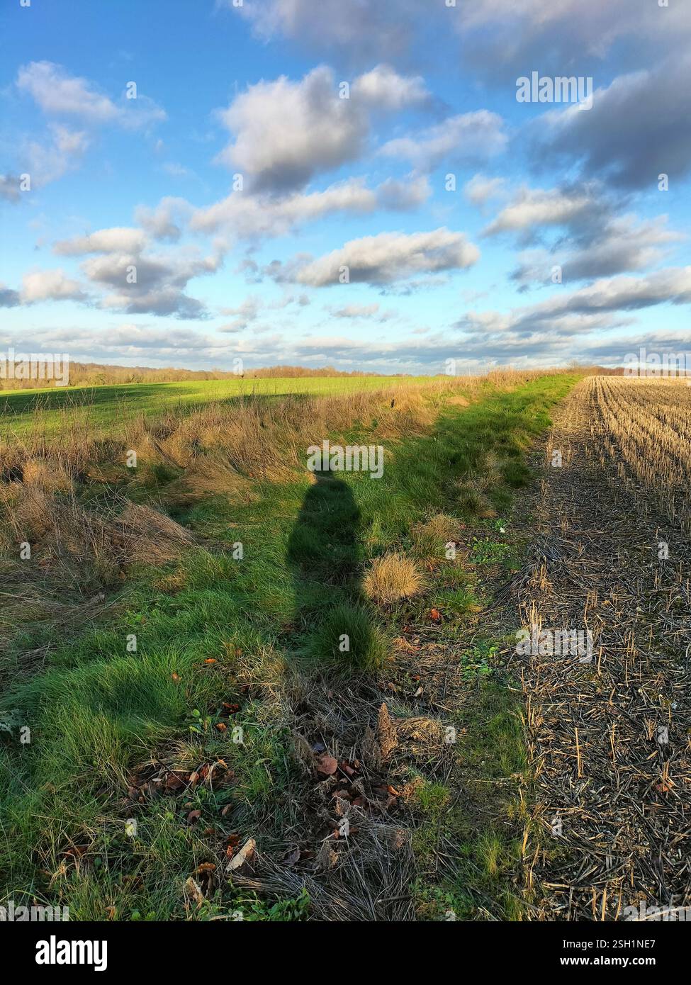 Rural green space wild smartphone stock photos and images - Alamy