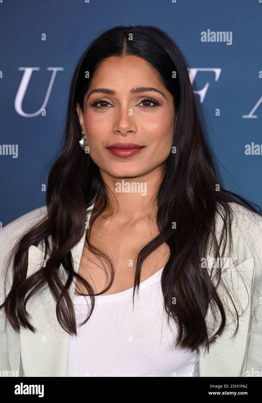 London, UK. February 10th, 2025. Freida Pinto at the Surface, Series 2 ...