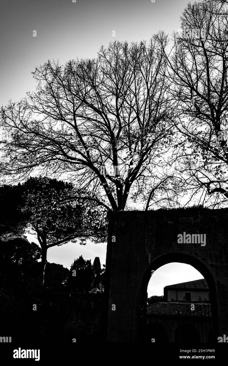 Black and White picture, the entrance gate of Orange Garden, Rome ...