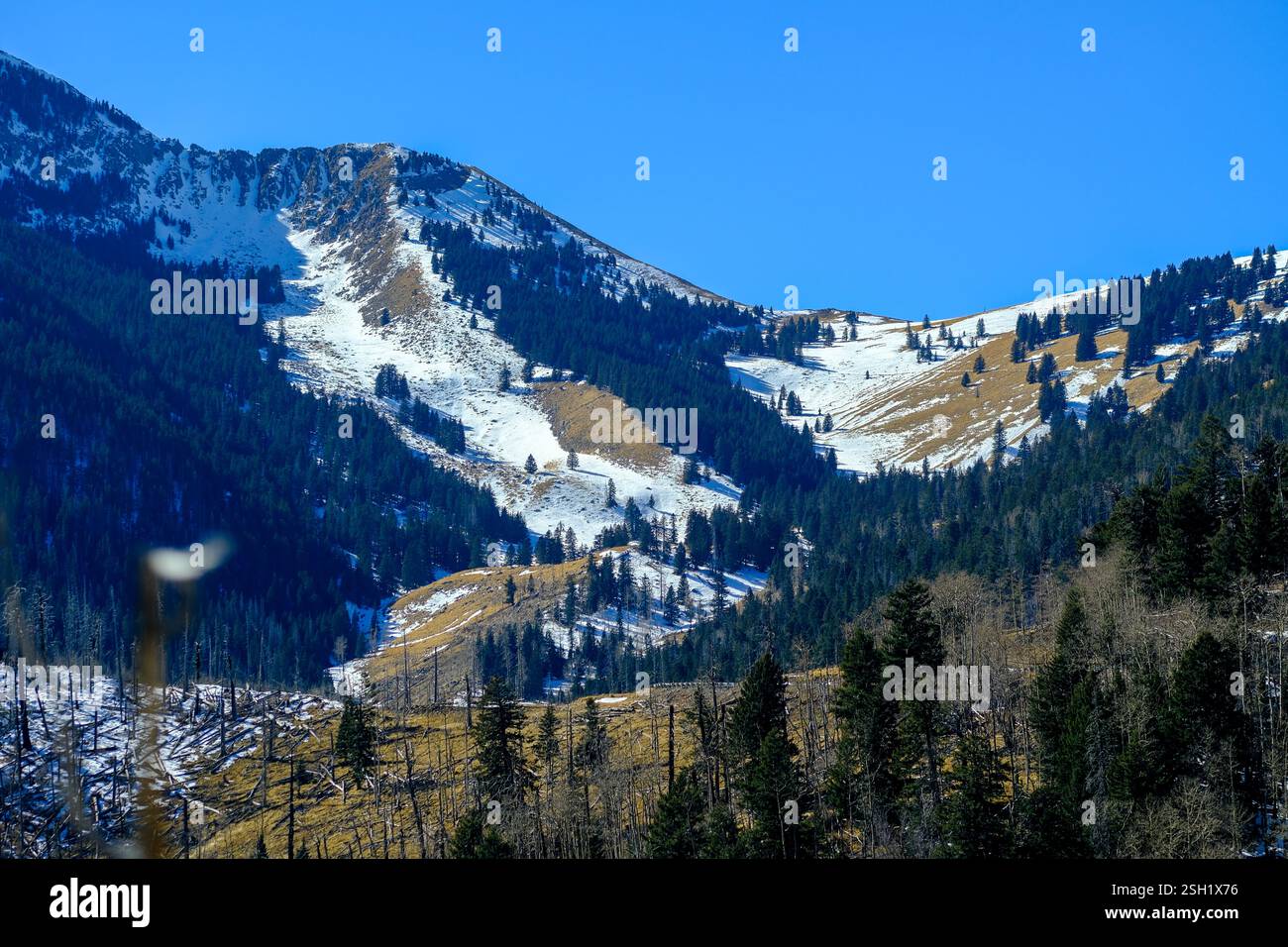 Snow-Capped Mountain Range with Evergreen Forest Stock Photo - Alamy