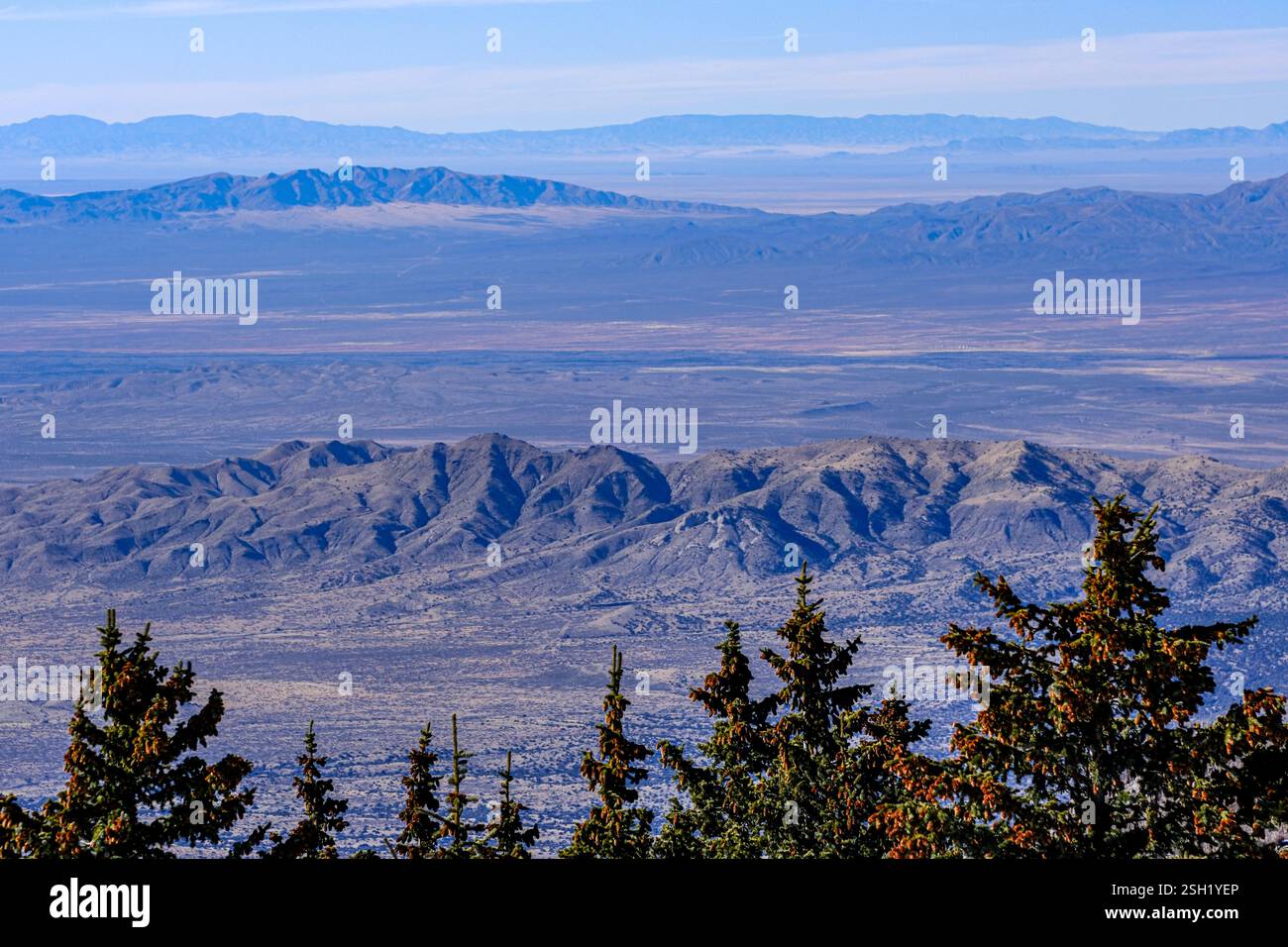 Mountainous Desert Landscape with Evergreen Trees in the Foreground ...