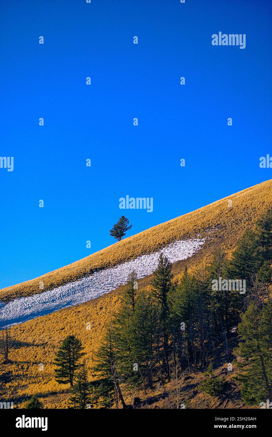 Majestic hillside setting hi-res stock photography and images - Alamy