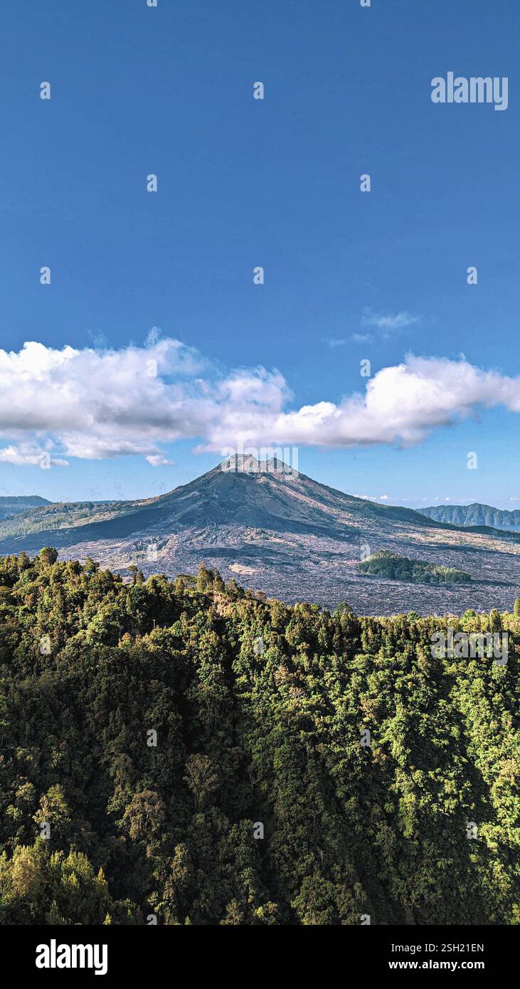 Lush Forest with Towering Volcano and Clear Blue Sky Stock Photo - Alamy