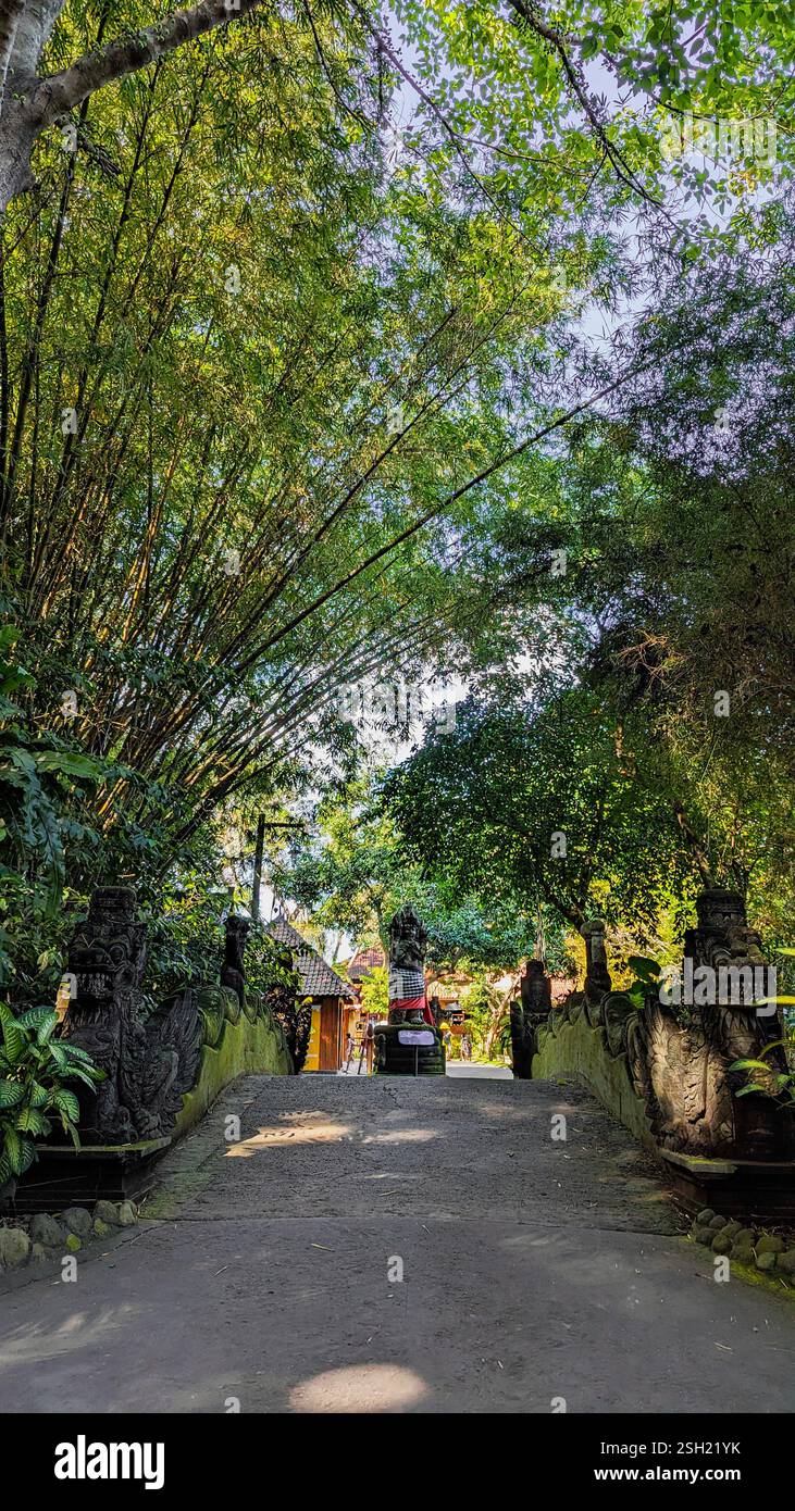Scenic walkway through bamboo hi-res stock photography and images - Alamy